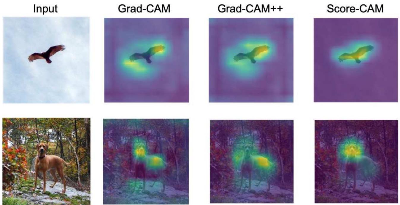 Score-CAM: Score-Weighted Visual Explanations for Convolutional Neural ...