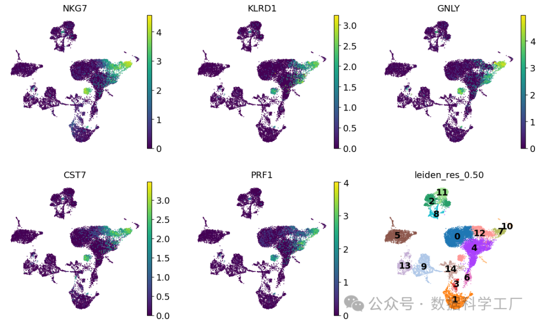 Scanpy 分析 scRNA-seq：细胞类型注释 - 知乎