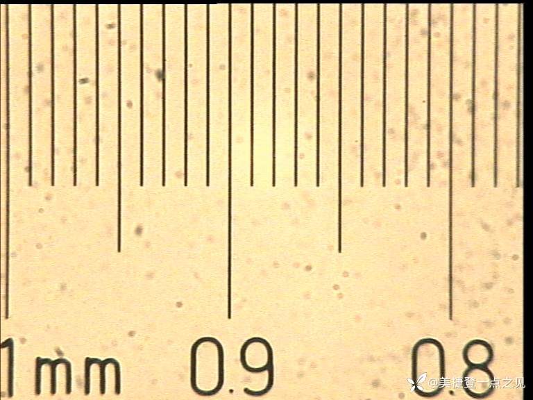 建议收藏：显微镜不同放大倍数物镜下标尺 - 知乎