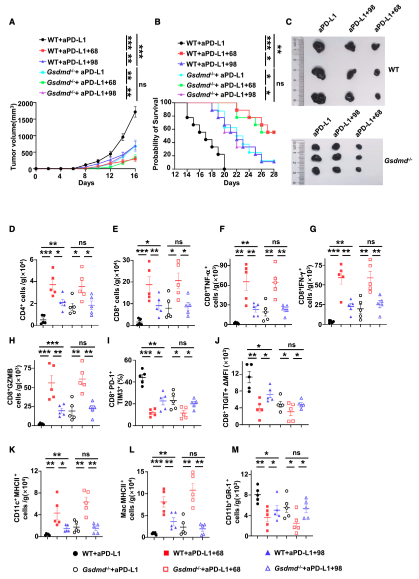 Cell Chemical Biology丨两种全新的GSDMD抑制剂——对脓毒症和肿瘤的保护作用 - 知乎