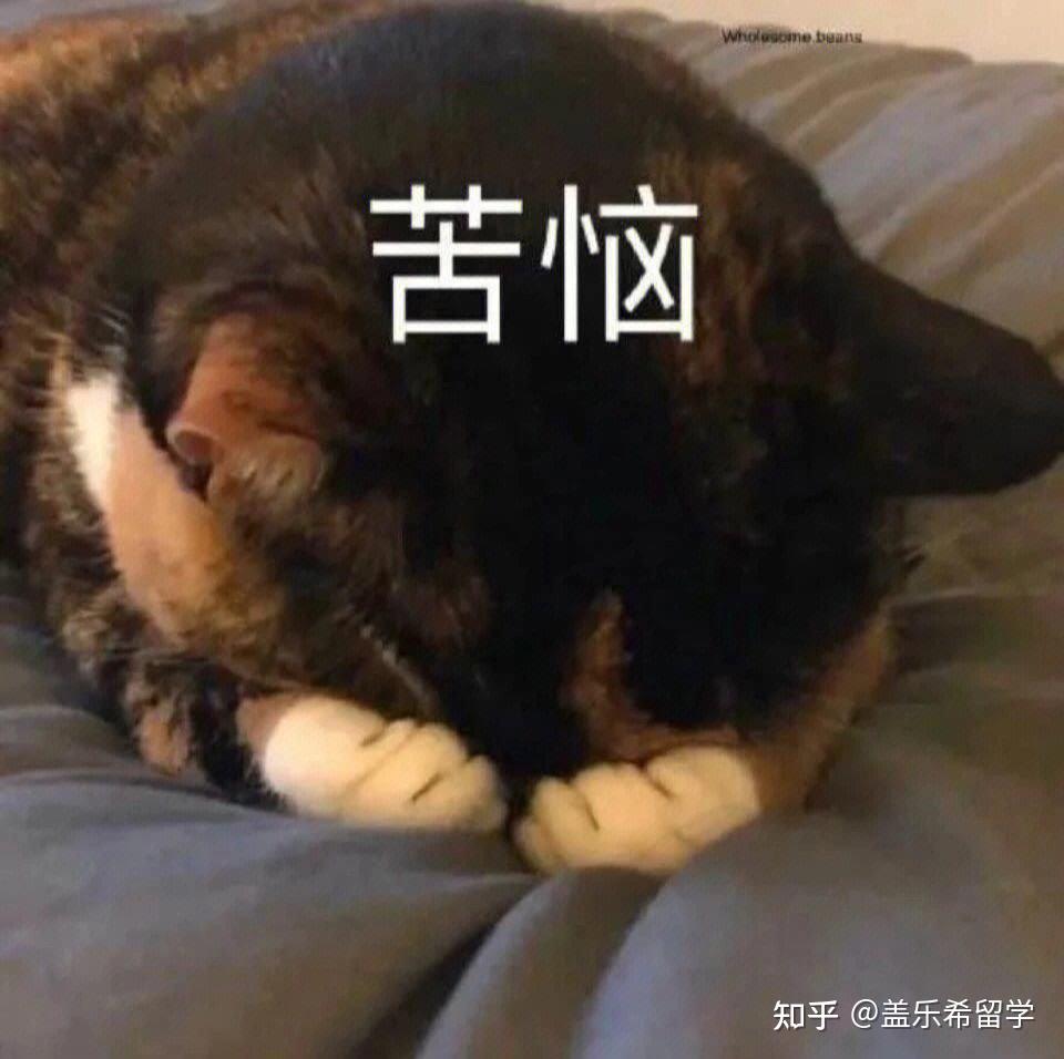 24fall留学小tips！跨专业申请很难吗？哪些专业好跨？ - 知乎