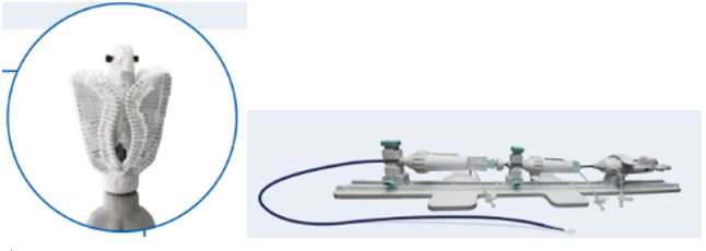 百舸争流丨三尖瓣反流的经导管修复：T-TEER器械梳理 - 知乎