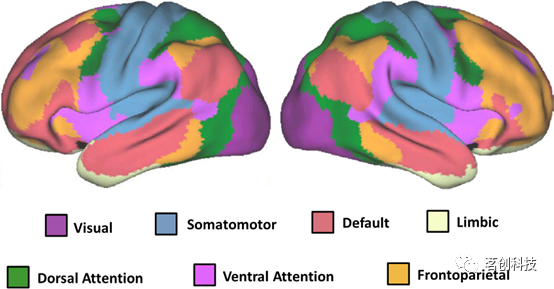 脑网络图谱 - 知乎
