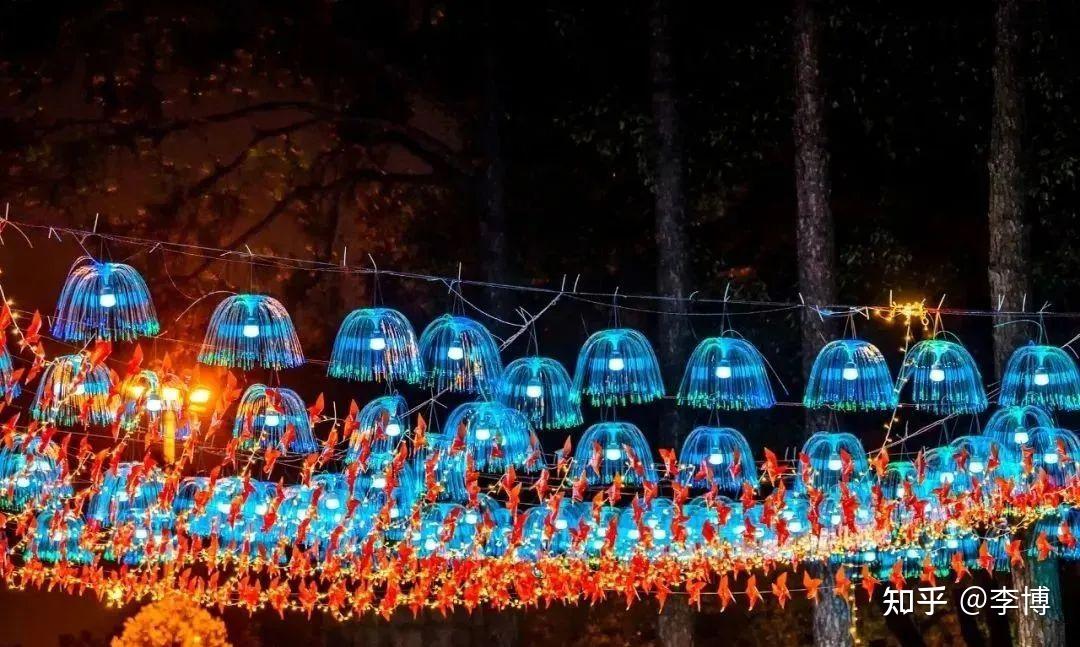 森林夜游 文旅融合与绿色发展新支点 - 知乎