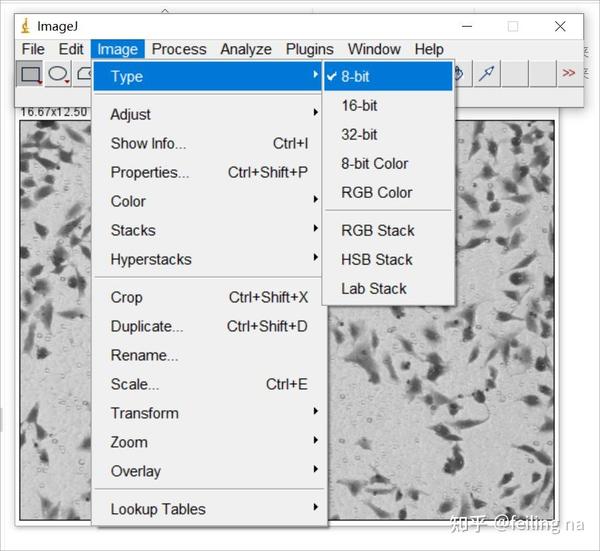 Transwell-Image J统计分析方法 - 知乎