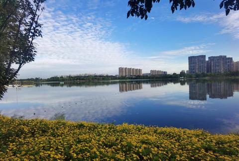 uniapp全局分享以及指定页面分享禁用的设置 - 知乎