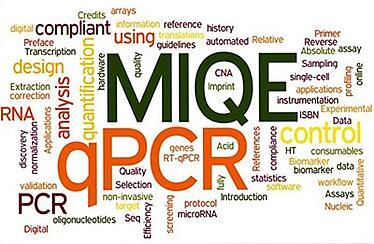 掌握MIQE指南的RT-qPCR发表数据的实用方法 - 知乎