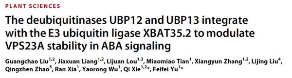 Sci Adv︱谢旗研究组揭示去泛素化酶和E3泛素连接酶调控植物激素ABA信号感知新机制 - 知乎