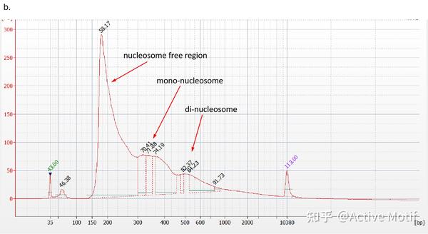ATAC seq文库质量控制 - 知乎