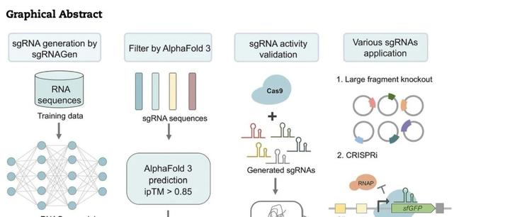 速来学习！AI赋能sgRNA设计！深度学习联手AlphaFold3，精准创造高效sgRNA！｜BRIEF BIOINFORM - 知乎