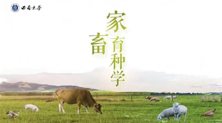 BLUP估计育种值EBV（下）- BLUP运算实例 - 知乎