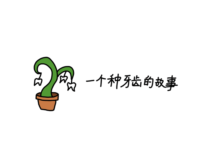 一个种牙齿的故事 知乎