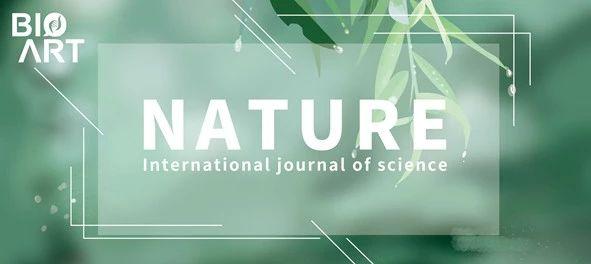 专家点评Nature | David Liu再出重磅基因编辑新工具，可实现碱基随意转换与增删 - 知乎