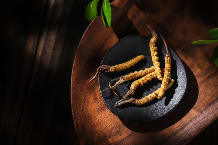 虫草检测 - 知乎