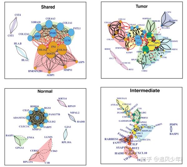 10X空间转录组空间依赖性基因共表达表征分析之SpaceX - 知乎