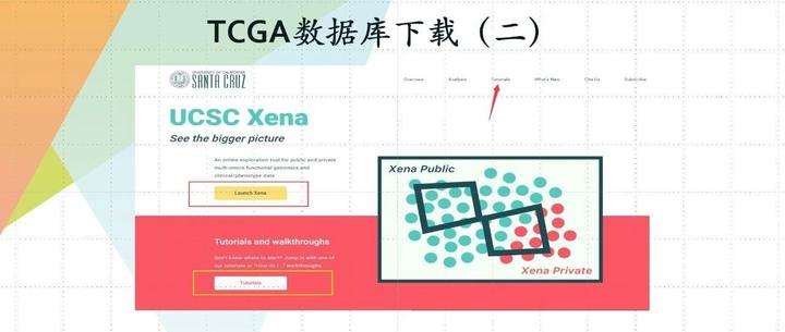 零代码下载TCGA数据库第二期：UCSC-XENA工具 - 知乎