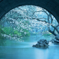 [Linux] byobu常用快捷键 - 知乎