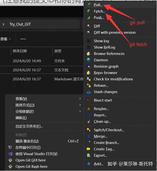 Git 101: TortoiseGit 简易教程 - 知乎