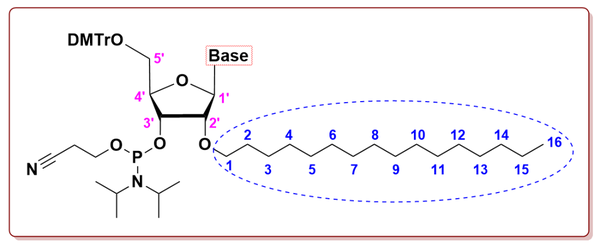 「Alnylam」发刊 C16-siRNAs缀合疗法效果显著丨C16单体速览 - 知乎