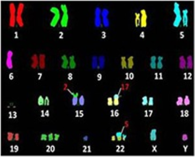 支气管上皮细胞BEAS-2B与CRISPR/Cas9基因编辑的美妙联动！ - 知乎