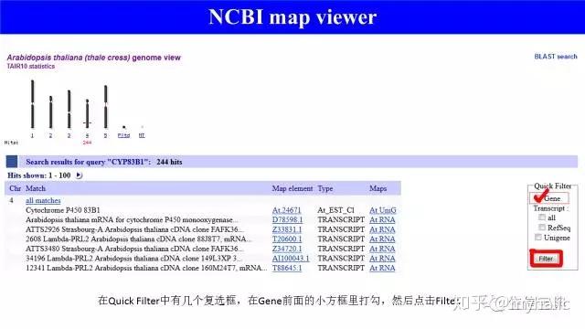 生信软件系列 - NCBI使用 - 知乎