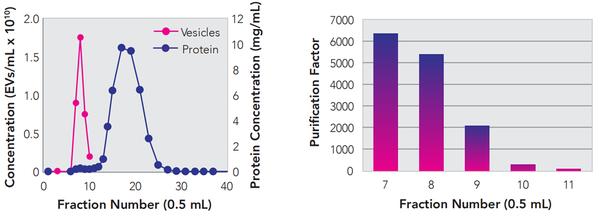 IZON qEV高纯度外泌体分离柱 - 知乎