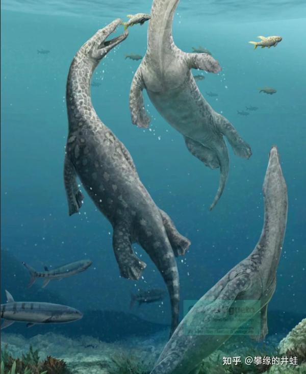 第二百八十六回 幽蓝幻想曲2：逼近的暗影 - 知乎