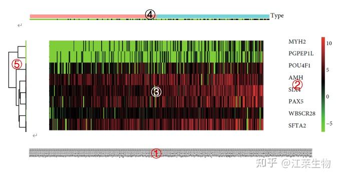 如何看懂文献里那些图——热图(Heatmap) - 知乎