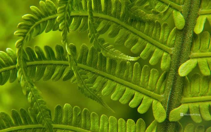 Pandas从list of dict构造DataFrame - 知乎