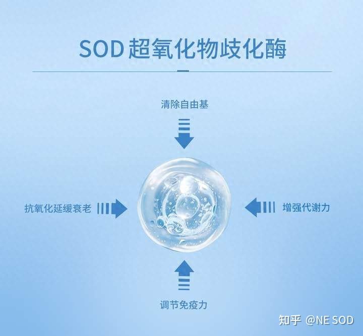 揭秘SOD：常见问题大解答（上） - 知乎