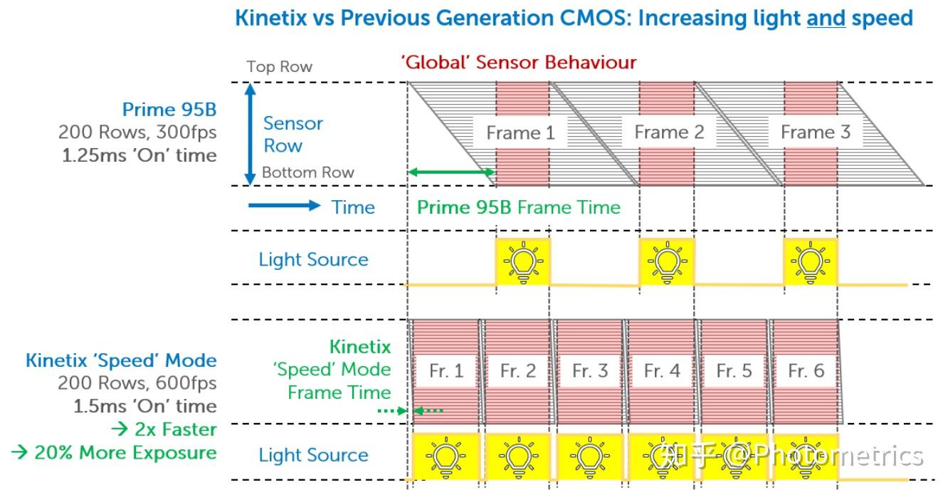 高速=更多信号！超高速sCMOS在高速钙离子成像中的应用 - 知乎