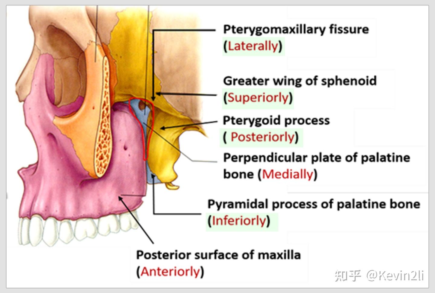 PDF Guru(Anki定制版)快速制卡教程 - 知乎