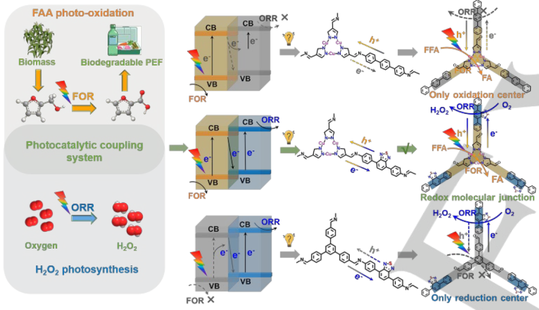 这个课题组太猛了！组建不到两年，一个月3篇Angew、1篇JACS！ - 知乎