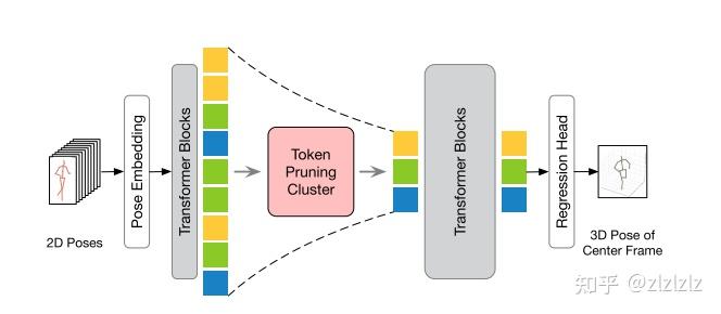 《Hourglass Tokenizer for Efficient Transformer-Based 3D Human Pose ...