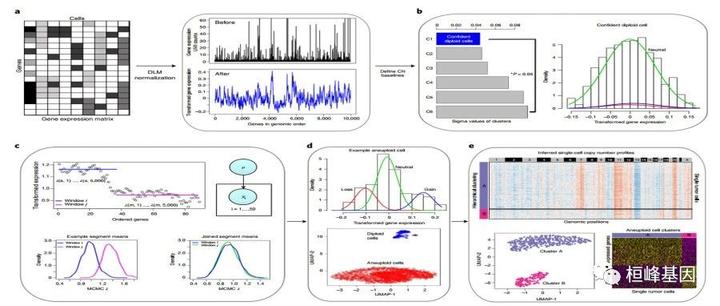SCS【17】从单细胞转录组推断肿瘤的CNV和亚克隆 (copyKAT) - 知乎