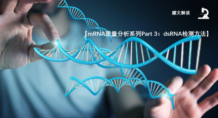 【耀文解读】mRNA质量分析系列Part 3：dsRNA检测方法 - 知乎