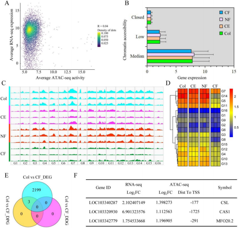 ATAC+RNA-seq揭秘植物领域的基因表观遗传调控！ - 知乎