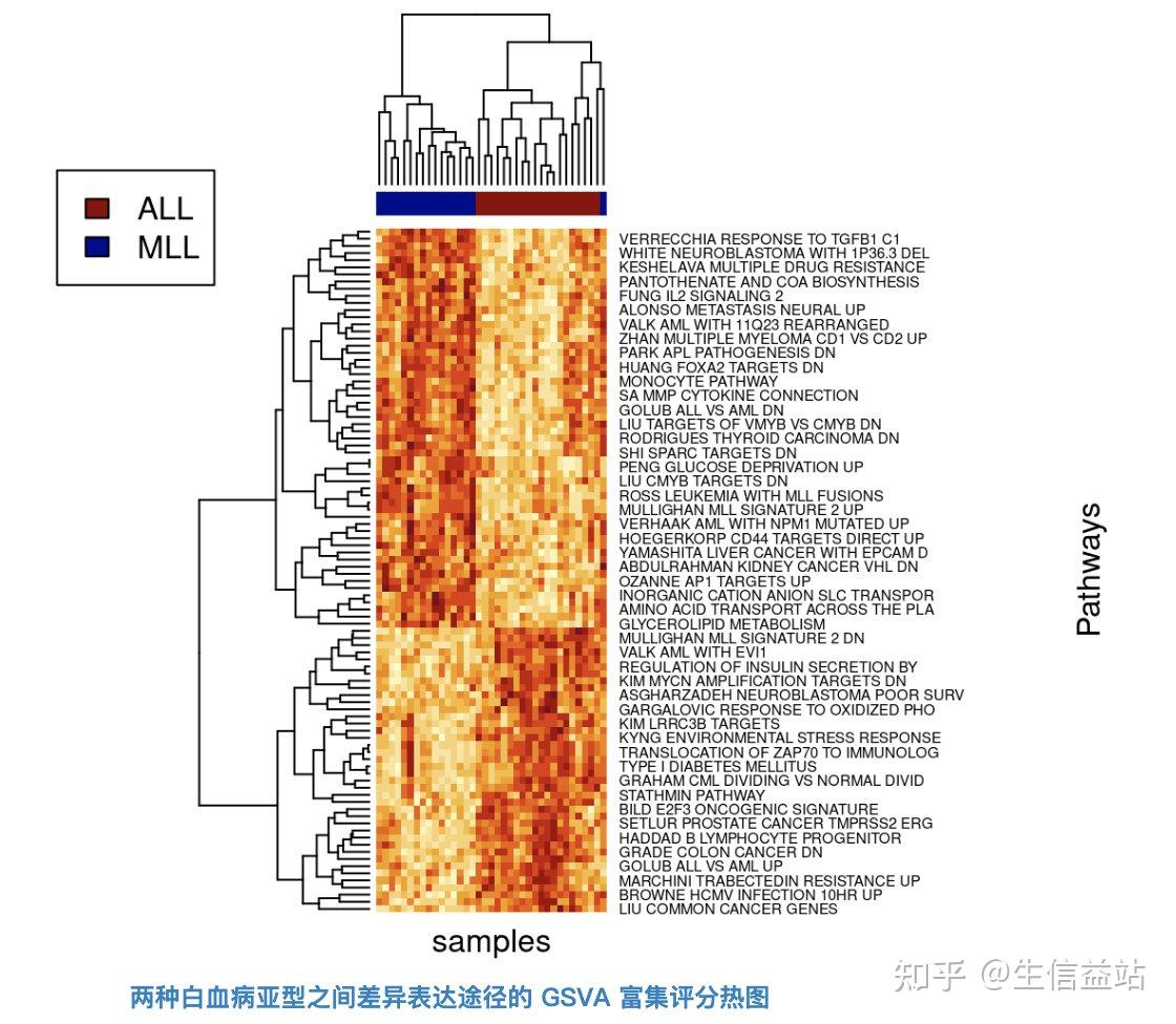 GSVA第一弹！KEGG通路也可以做差异表达分析？ - 知乎