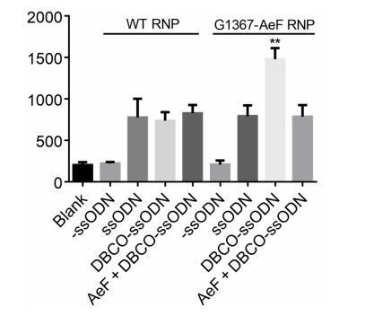 提高精准基因编辑效率，这篇文章不容错过 - 知乎