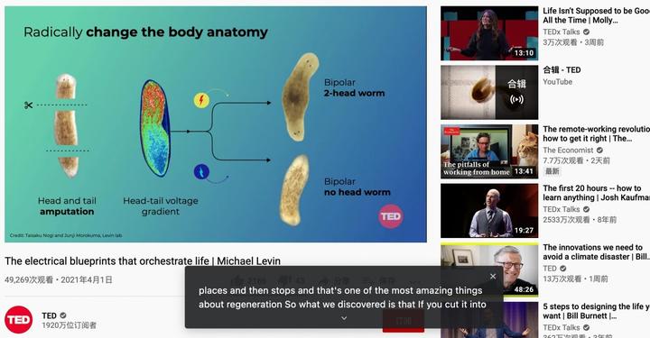 Chrome如何开启和使用的实时字幕功能 - 知乎