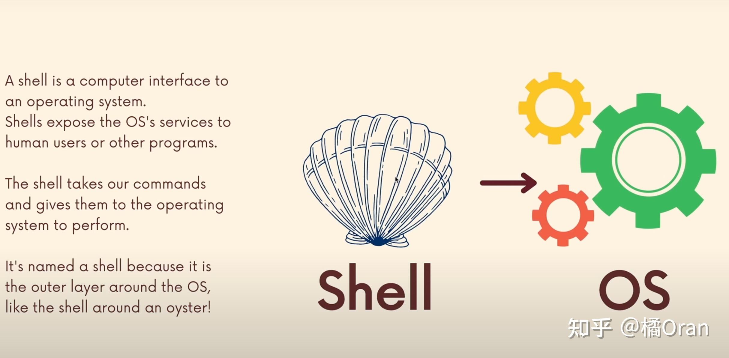 50 个最常用的 Linux & Terminal 命令 - 知乎