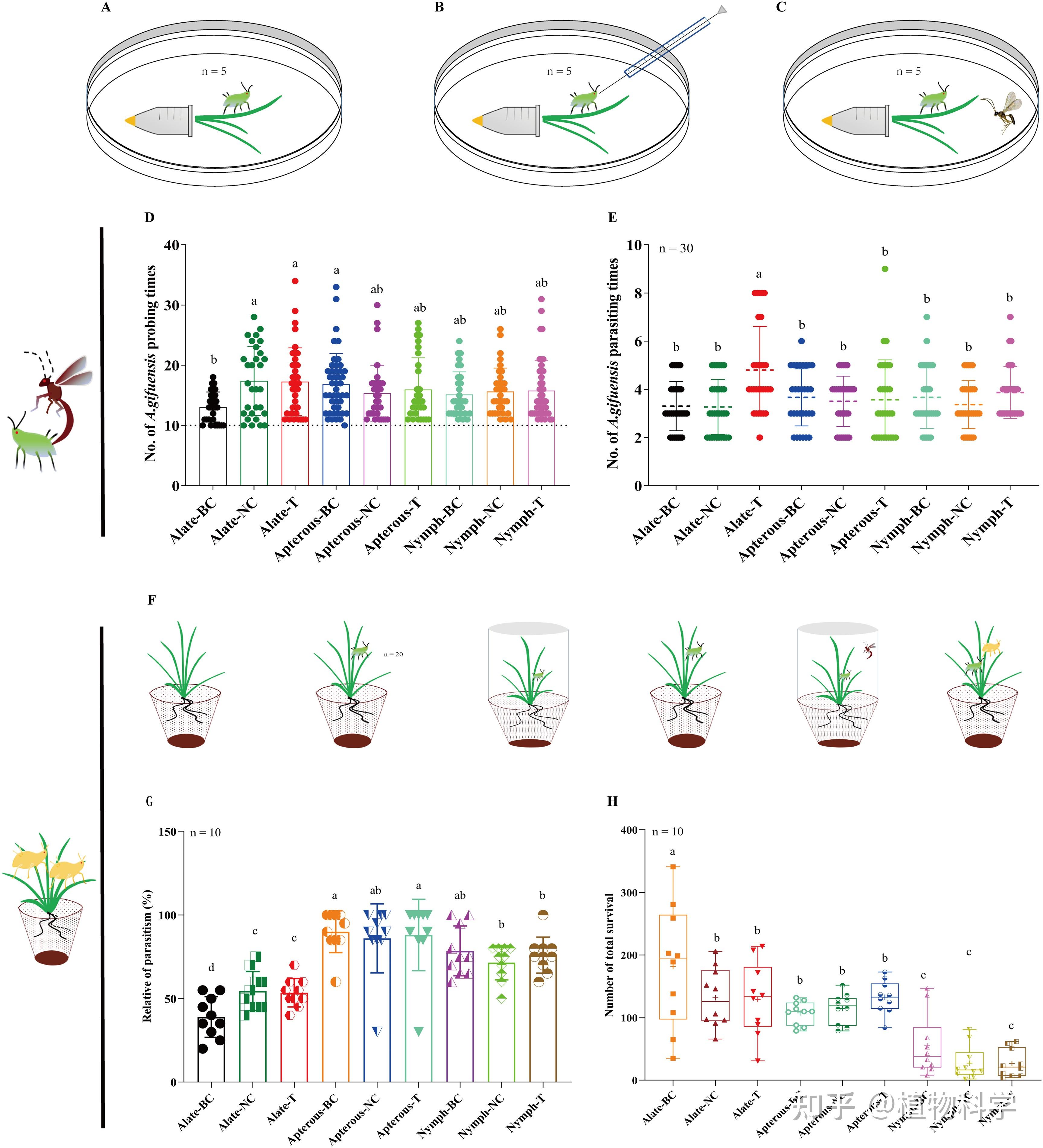 IJBM | 中国农业科学院植物保护研究所揭示麦蚜及其寄生性天敌烟蚜茧蜂对报警信息素识别的趋同进化机制 - 知乎