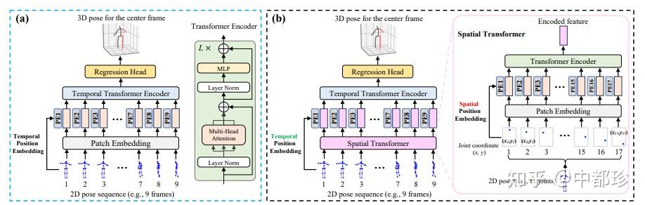 热门模型Poseformer，3D-pose模型 - 知乎
