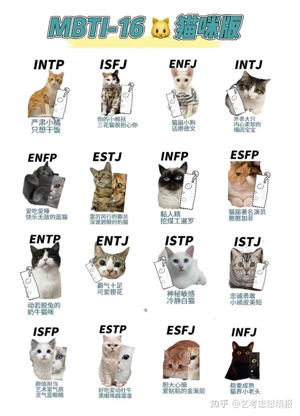 MBTI16种人格，来看看属于哪种猫吧！ - 知乎
