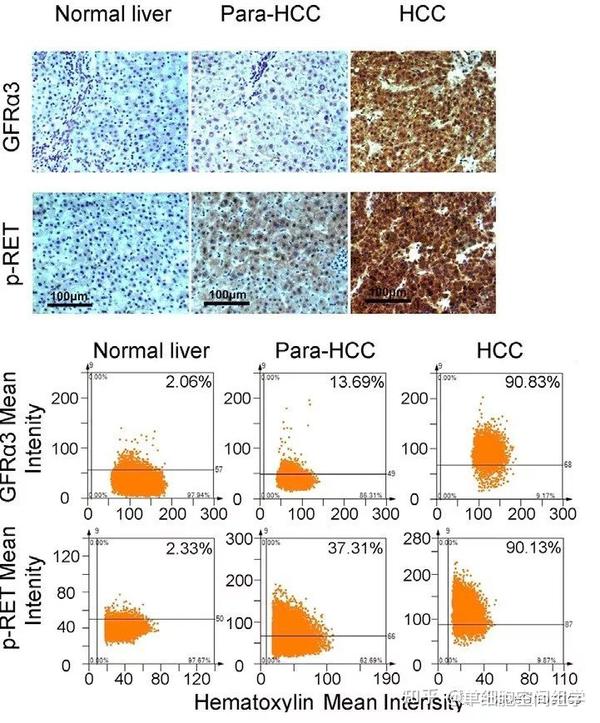 TissueFAXS Cytometry-曹雪涛组潜在药物靶标研发CELL文章分享 - 知乎