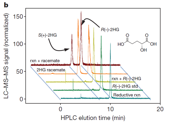 经典重读丨Nature肿瘤中IDH1突变和2-HG - 知乎