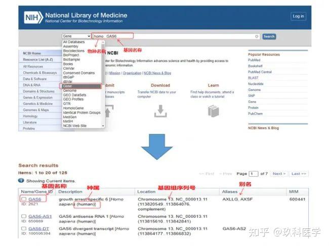 干货分享|qPCR实验要点--引物设计技巧 - 知乎