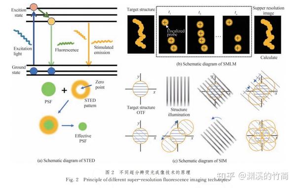 超分辨荧光显微成像染料结构与生物应用 - 知乎