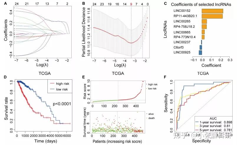 文献详解|m6A相关lncRNA生信挖掘套路解析 - 知乎