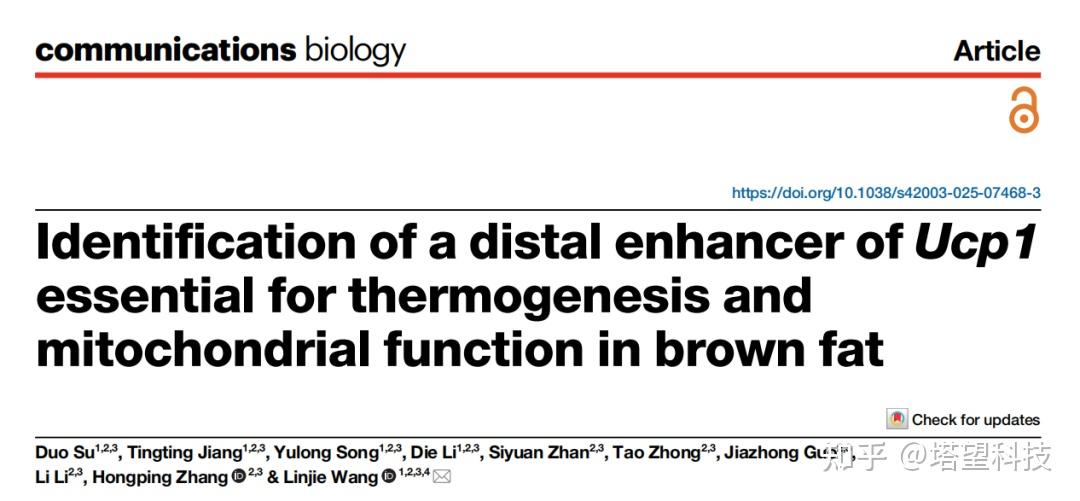 【深度好文】塔望科技助力揭示解偶联蛋白1（Ucp1）在棕色脂肪组织（BAT）中的调控机制，为肥胖及代谢疾病治疗提供潜在靶点 - 知乎
